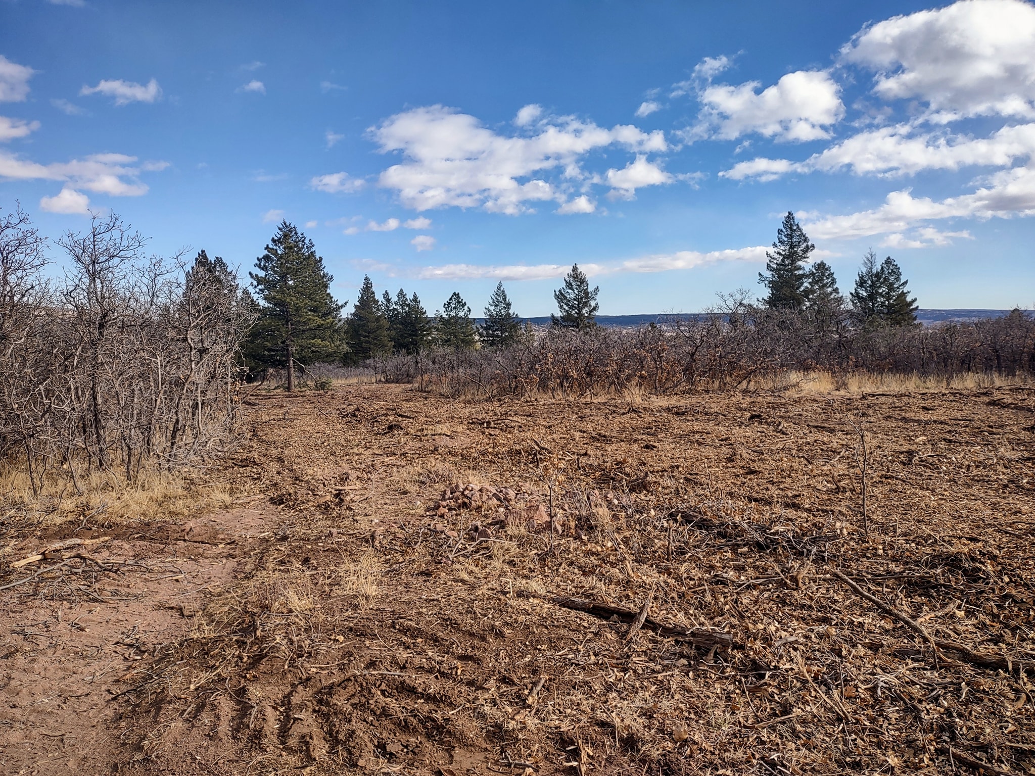 USFS Fire Mitigation in the Monument Preserve - Area 1 Work Started ...