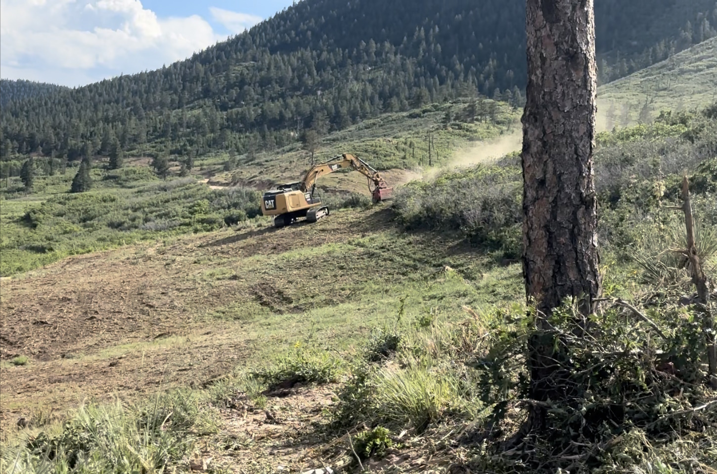 fomp.org - Friends of Monument Preserve