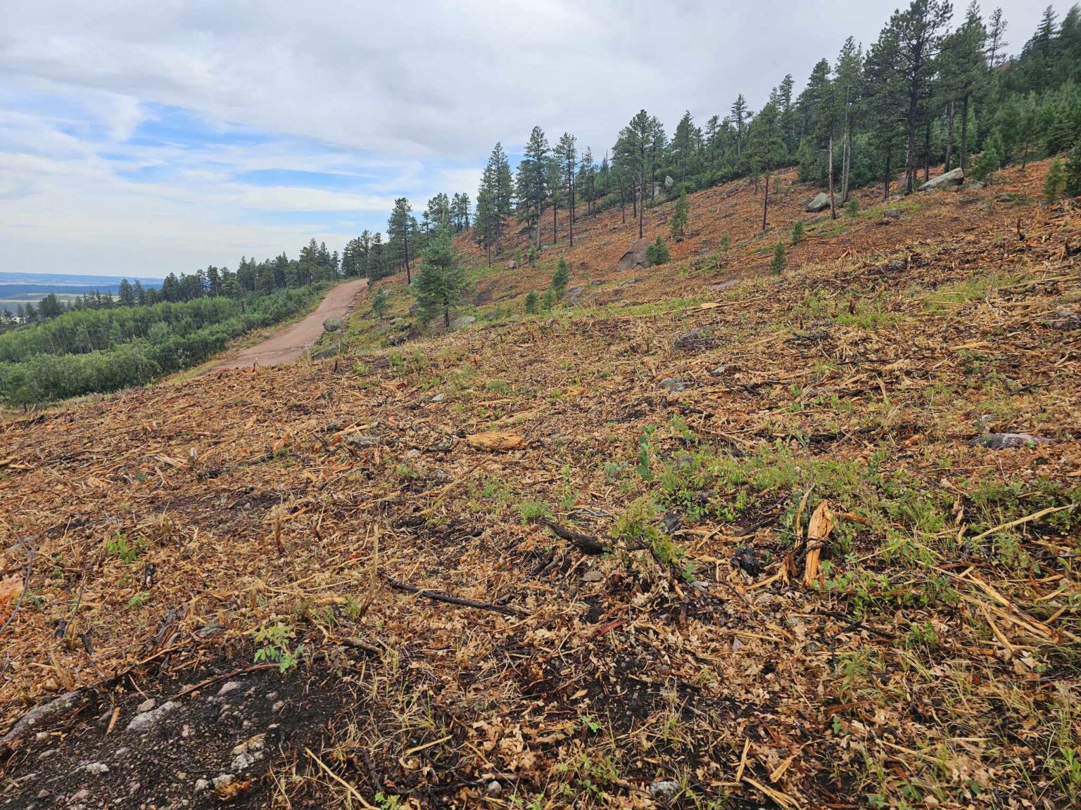 fomp.org - Friends of Monument Preserve